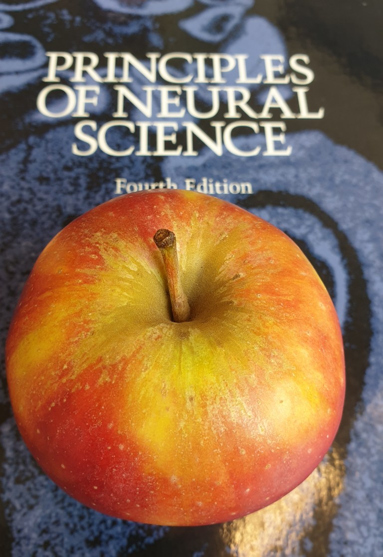 The apple of enlightenment – The Introverted Tree
